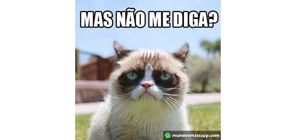 35 Memes Para Você Usar No Whatsapp Em Diversas Situações Tecmundo